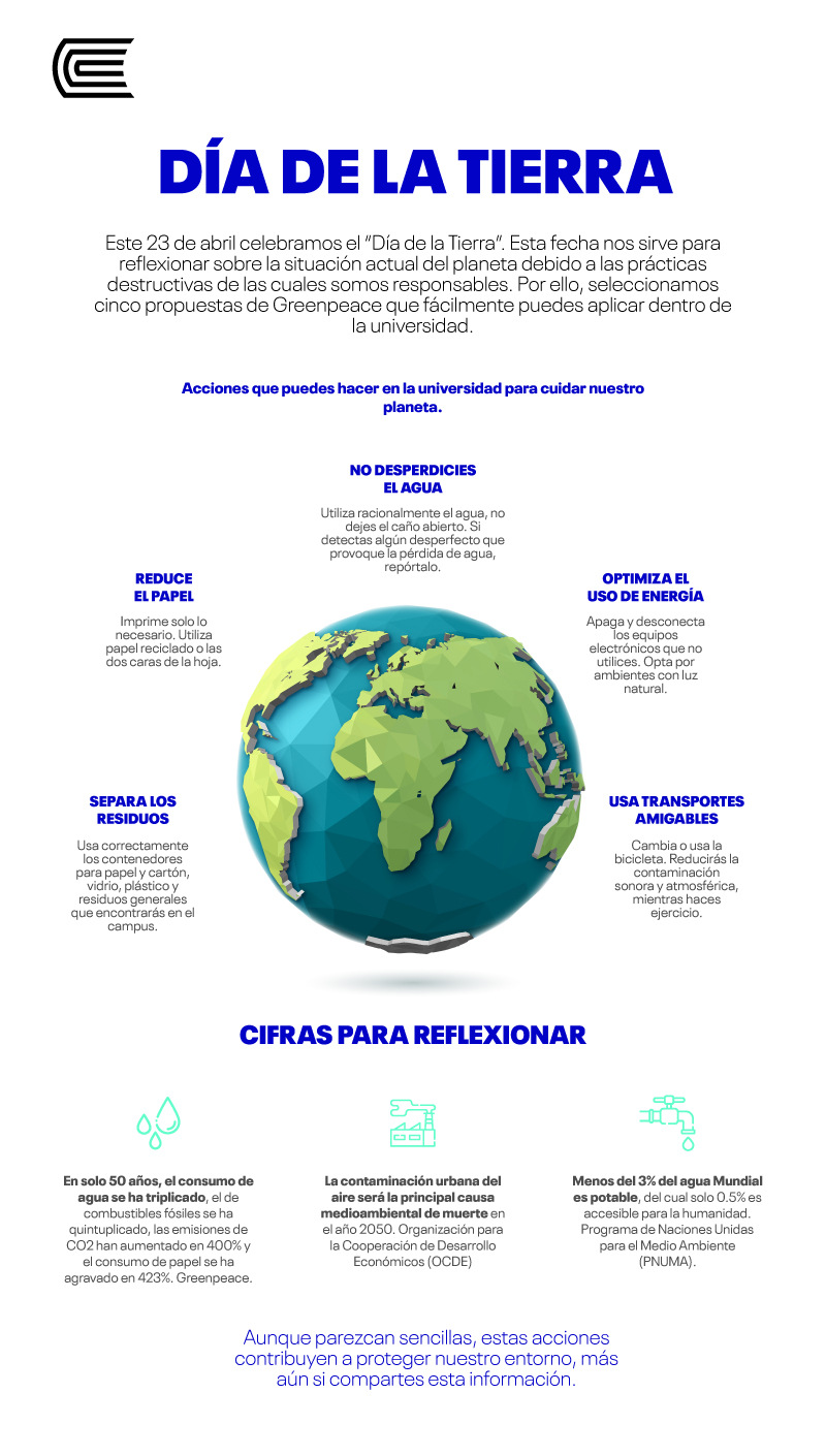 ¿Qué puedes hacer por la tierra? Mejores consejos - Verdes